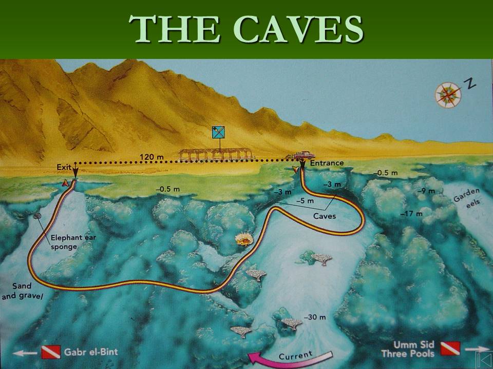 Strait Of Gubal Sites , Dahab Sites - Eagle Divers